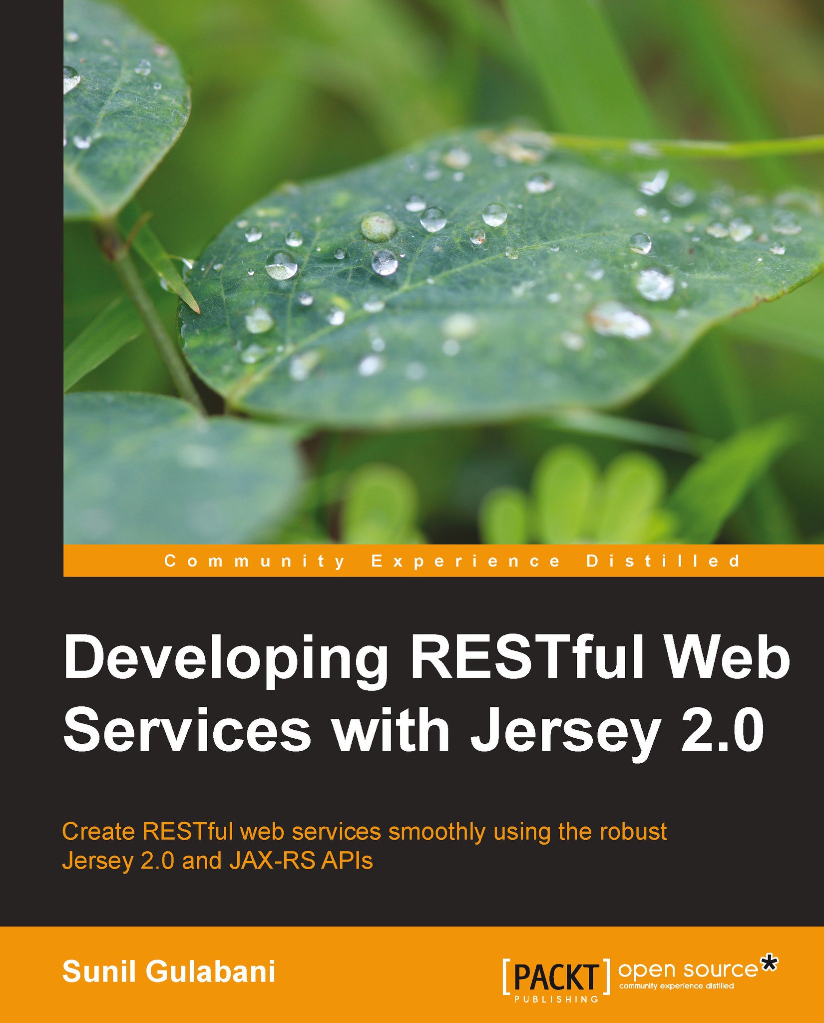 Developing RESTful Web Services with Jersey 2.0 | ebook | Web Development