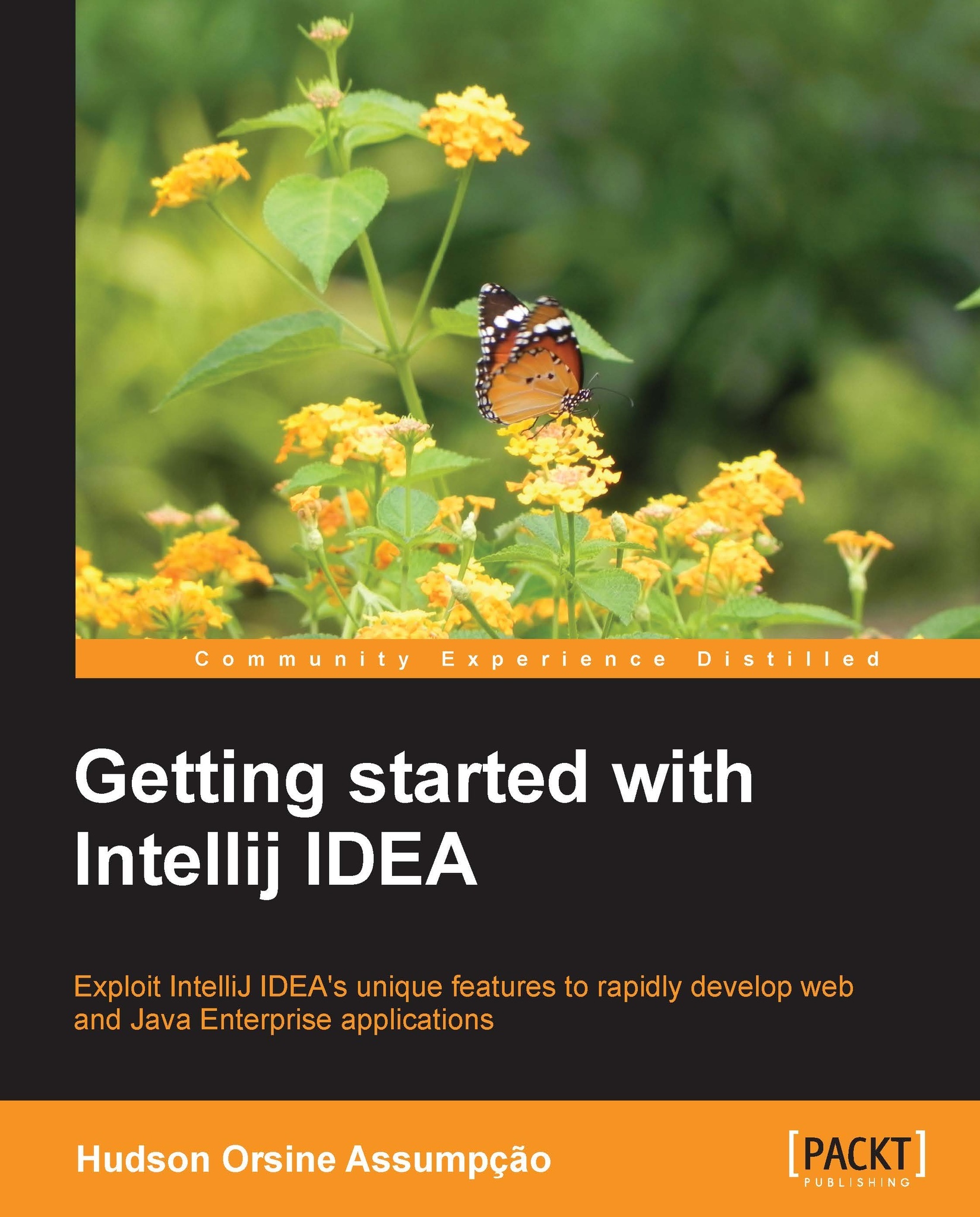 Getting started with IntelliJ IDEA | ebook | Programming