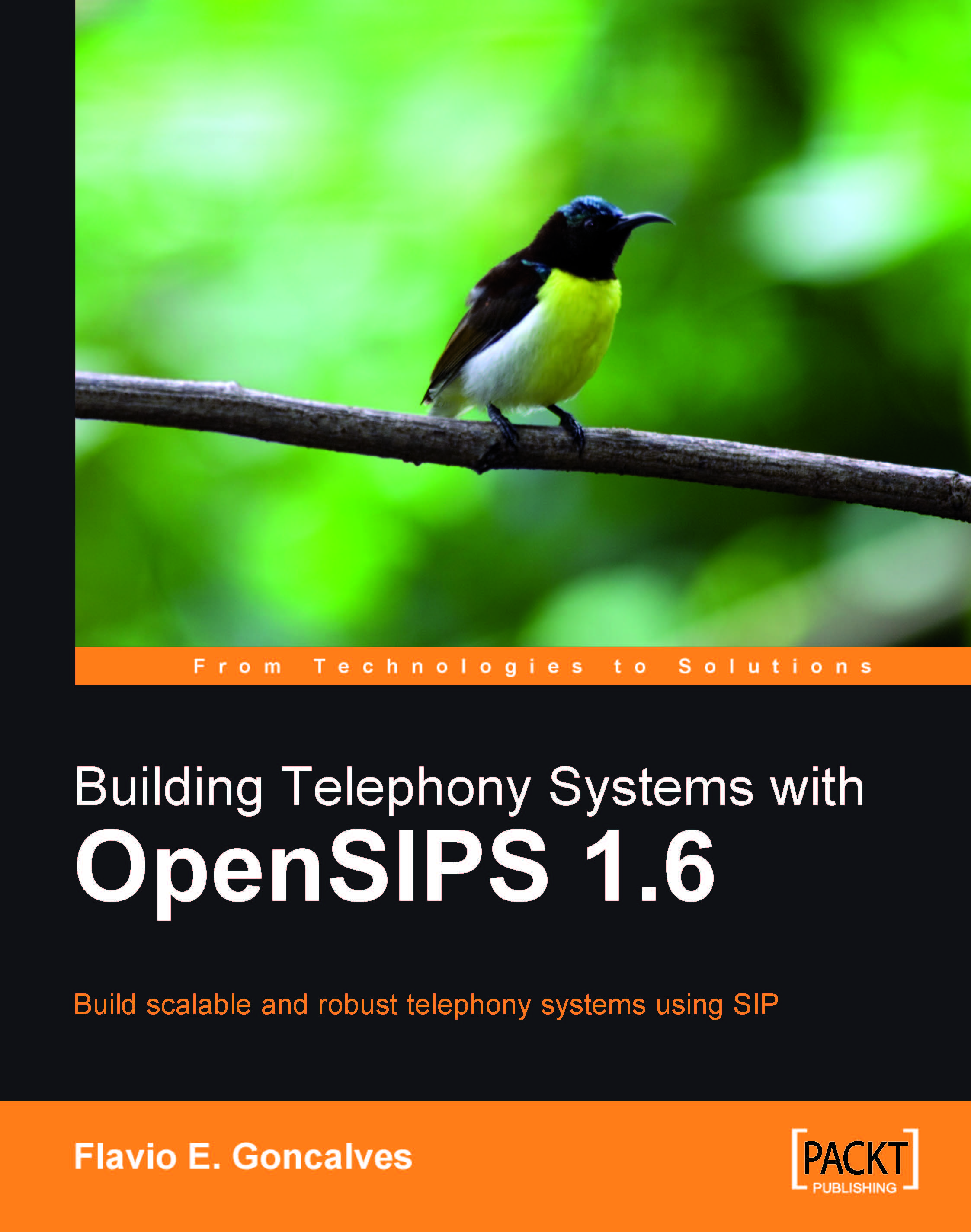 Building Telephony Systems with OpenSIPS 1.6 | ebook | Cloud & Networking