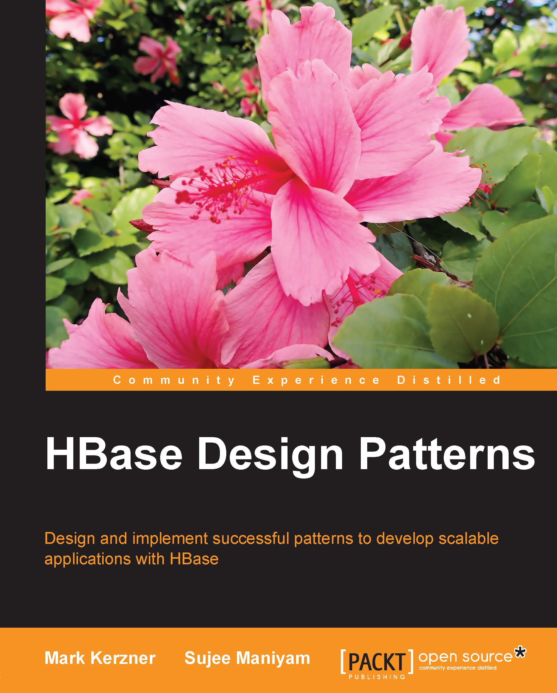 HBase Design Patterns | ebook | Programming