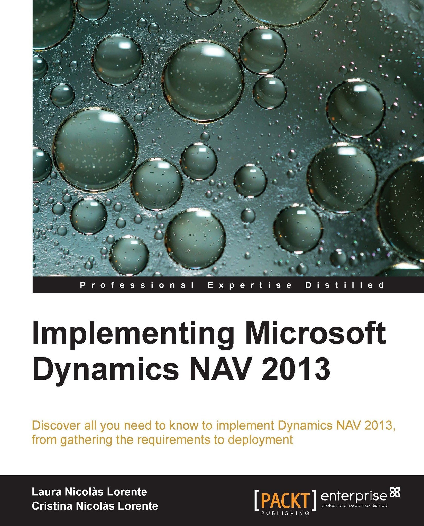 Implementing Microsoft Dynamics Nav 2013 Second Edition Business And Other Ebook