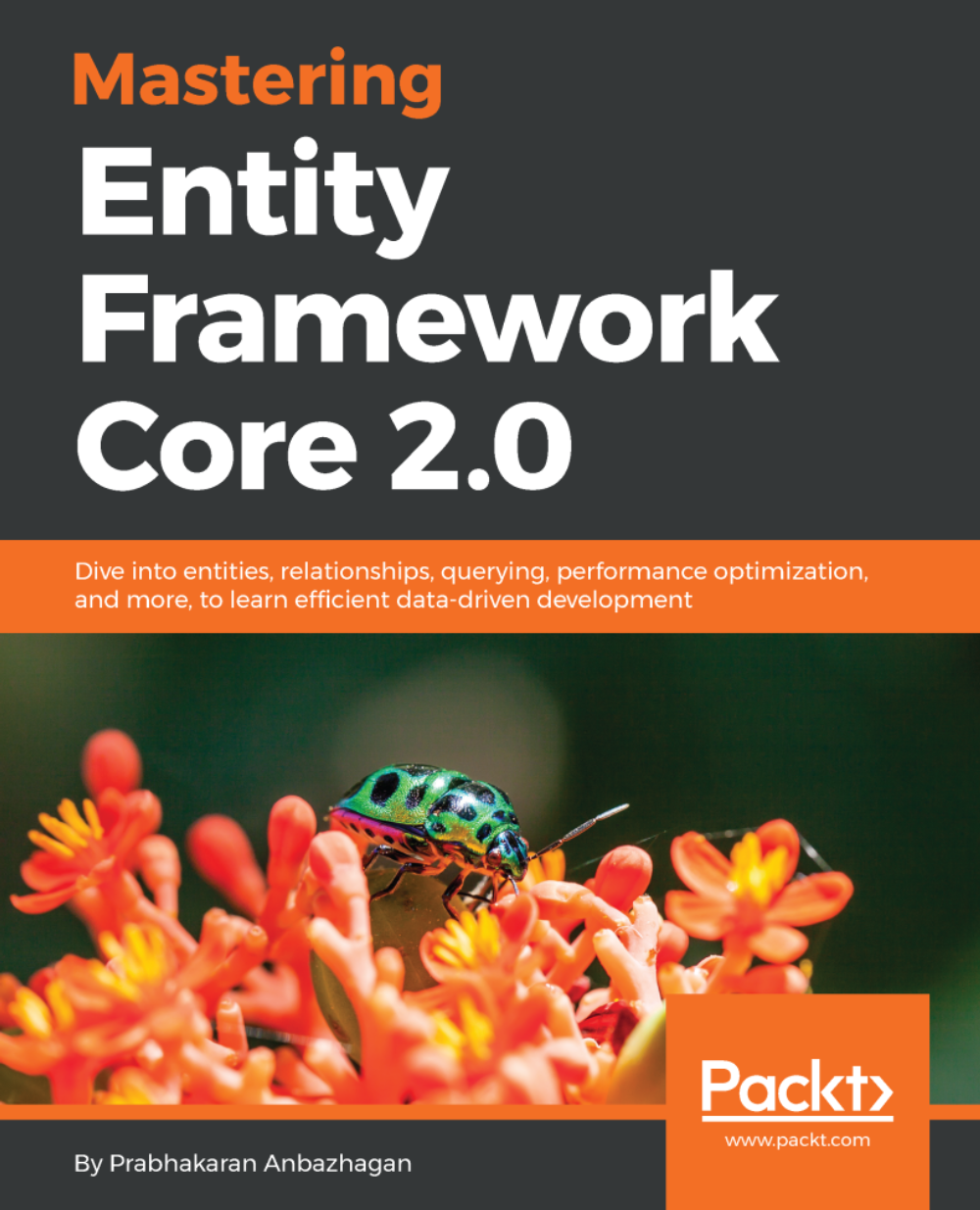 Entity Framework Core Cheat Sheet Pdfcoffeecom Images