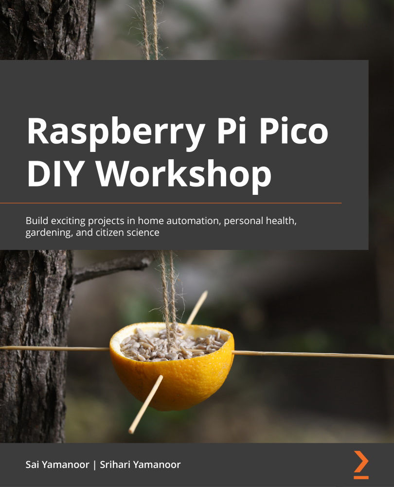Raspberry Pi Pico DIY Workshop | ebook | IoT & Hardware